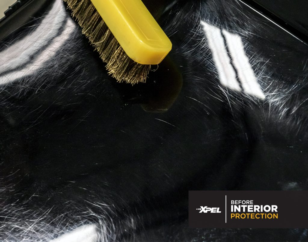 Interior Protection | XPEL Interior PPF