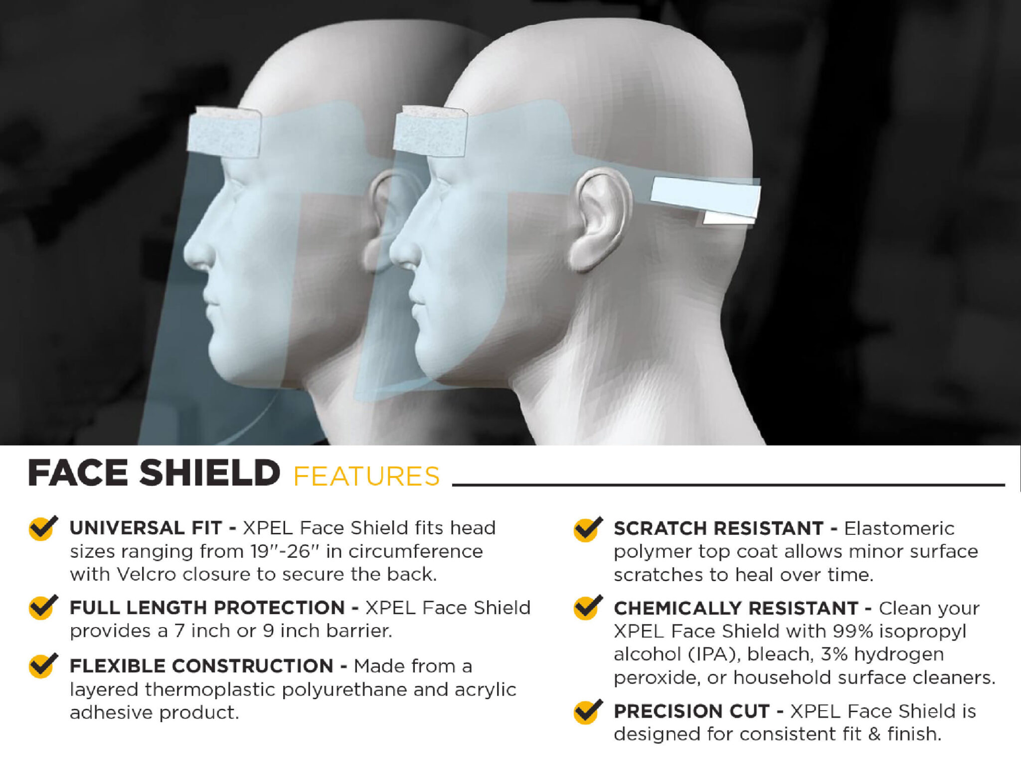 Stay Safe With XPEL RX Antimicrobial Film | Fight Covid 19